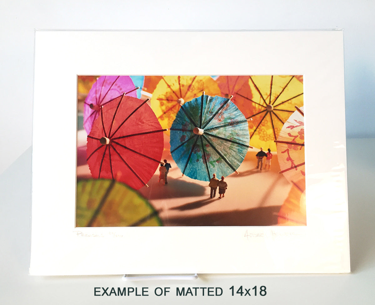 Parasols – Audrey Heller Photographs